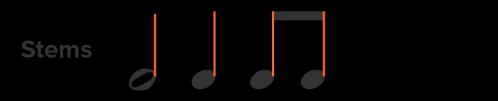 Musical Notes Guide | Names, Symbols & Time Values