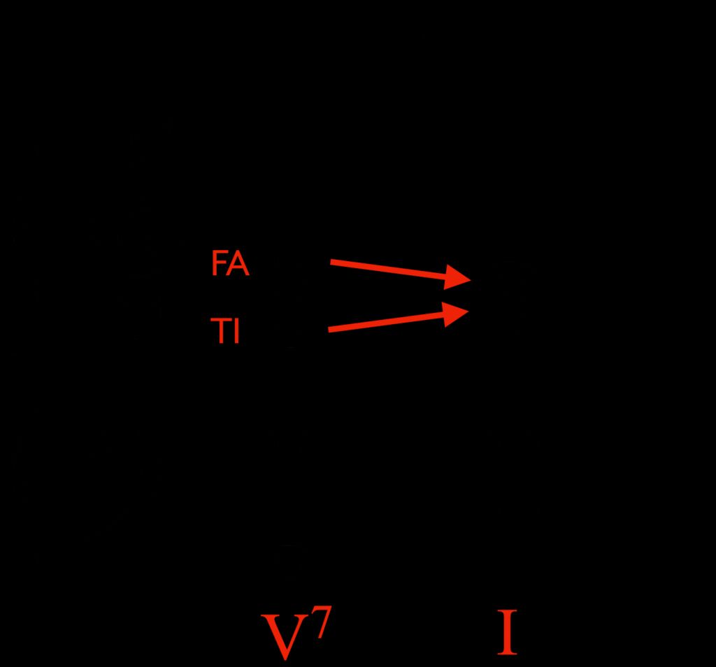 Cadence in Music Theory: Defining Endings & Transitions