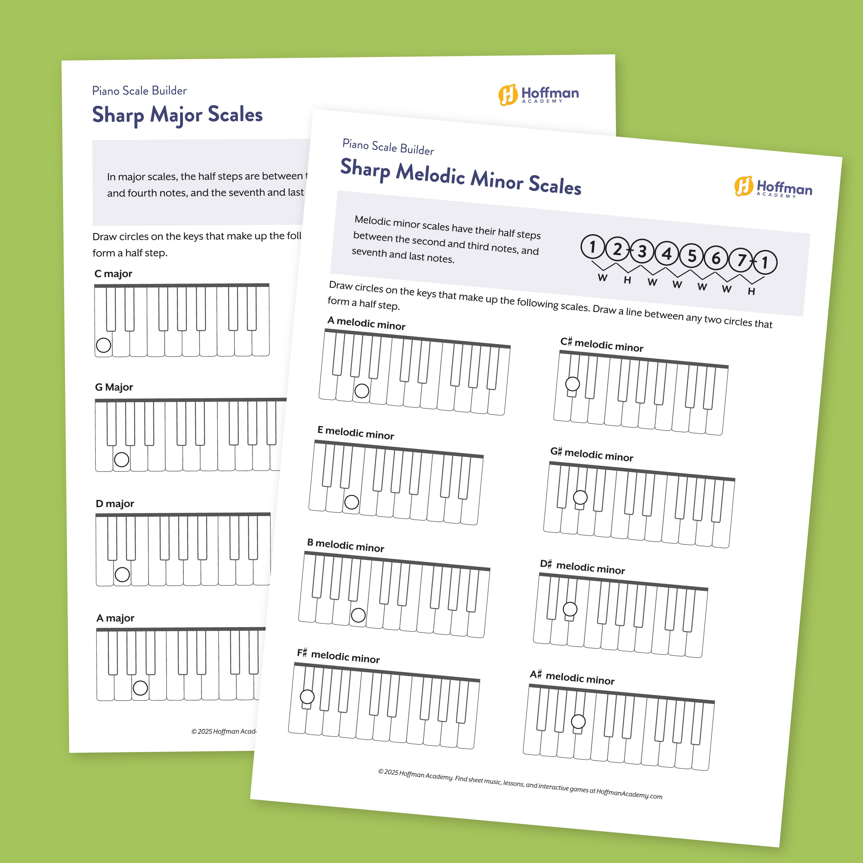 Piano Scale Builder | Music Theory Activity Sheets | PDF Download